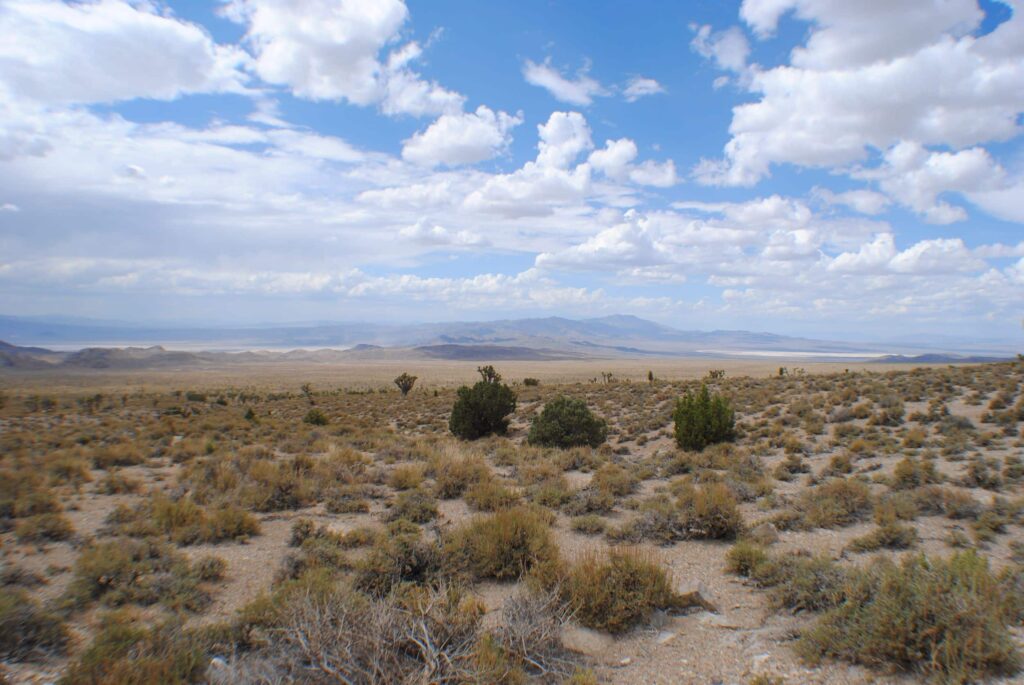 Alkali Hot Springs Nevada / RE/MAX List For 1%